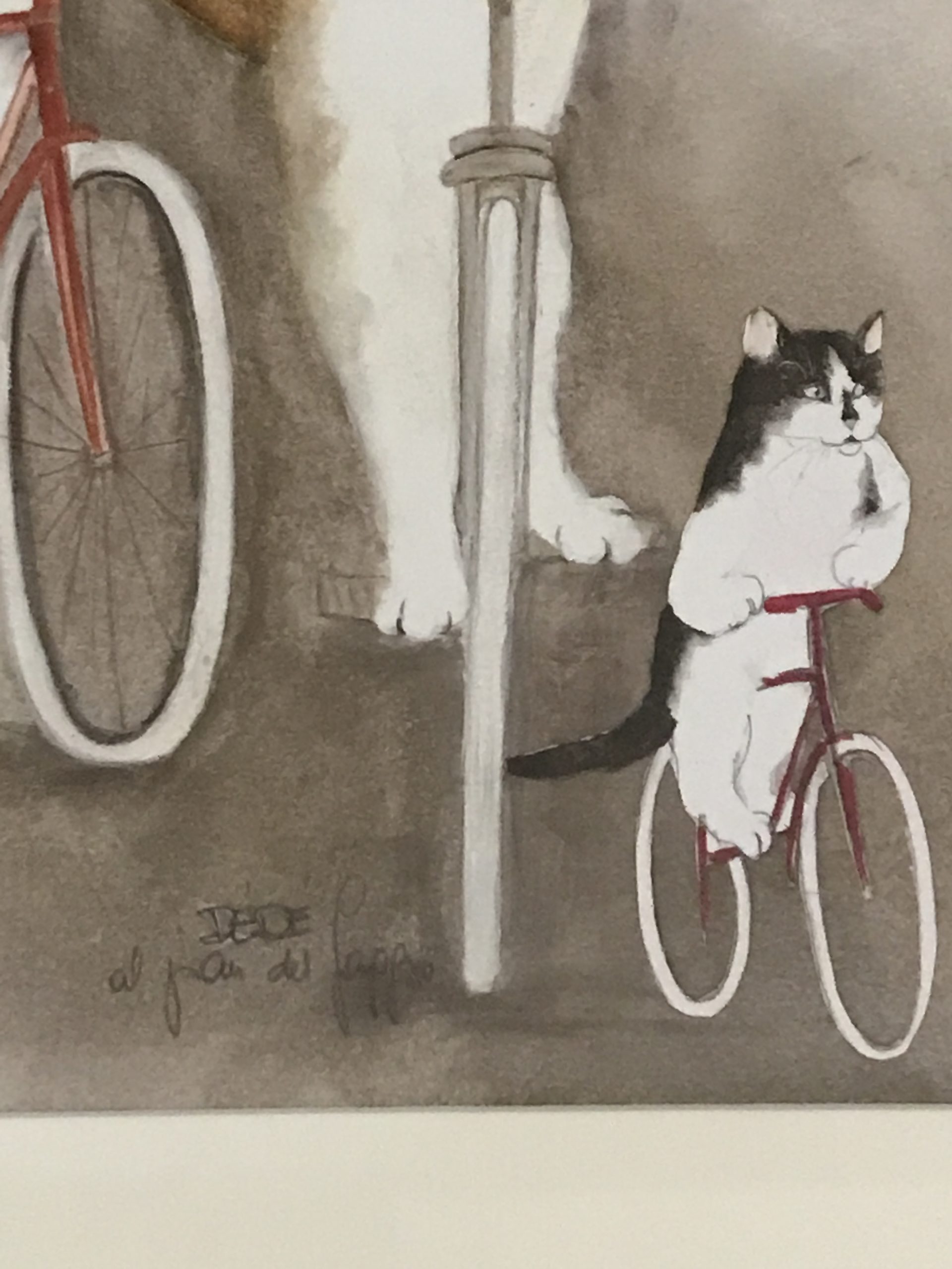 Dede Moser Cat Print Cycling 69x49cm (31x21cm) - Vintage Keepsakes