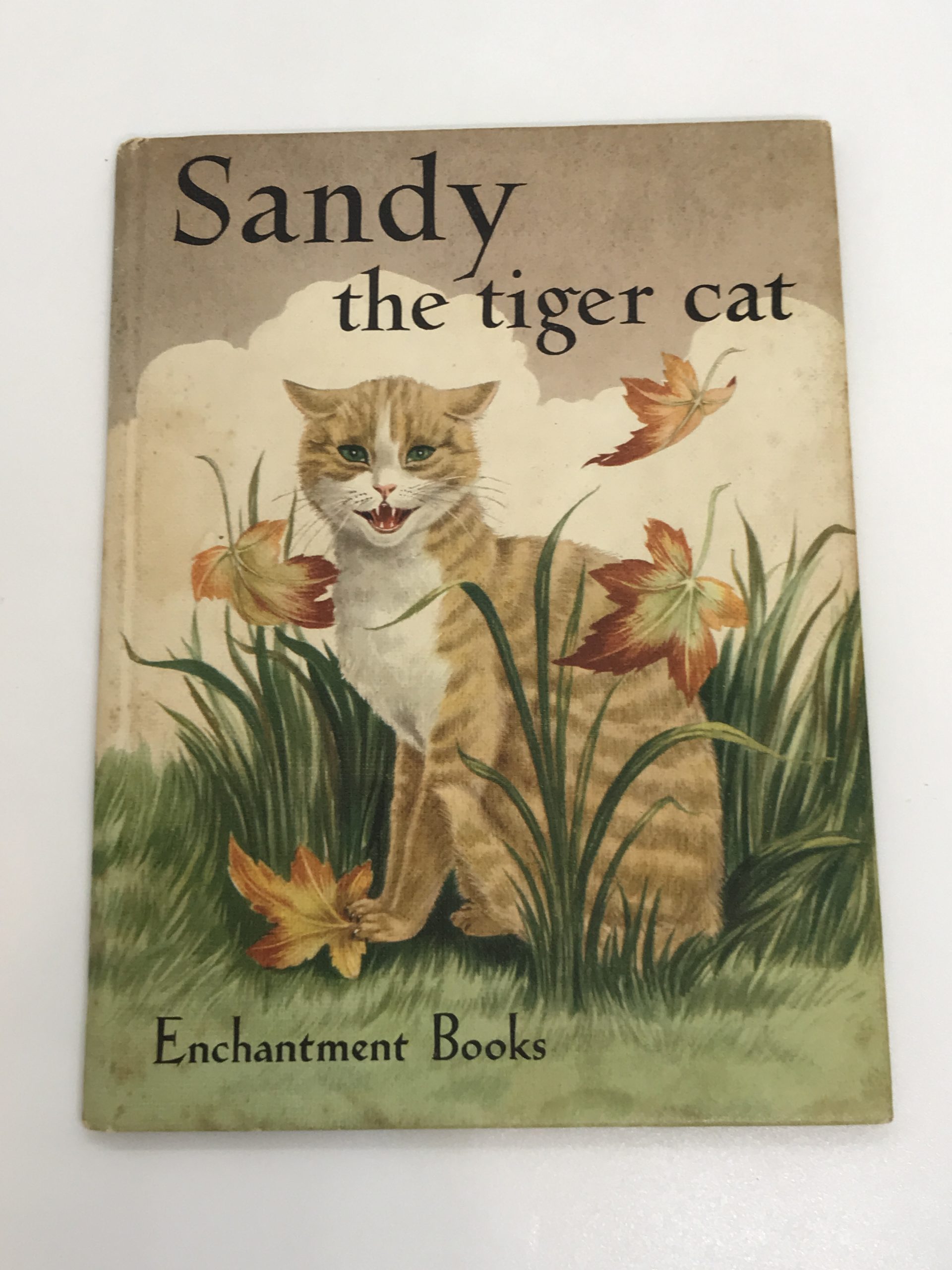 Sandy the Tiger Cat by Castley, Dora Hardcover 1960s - Vintage Keepsakes