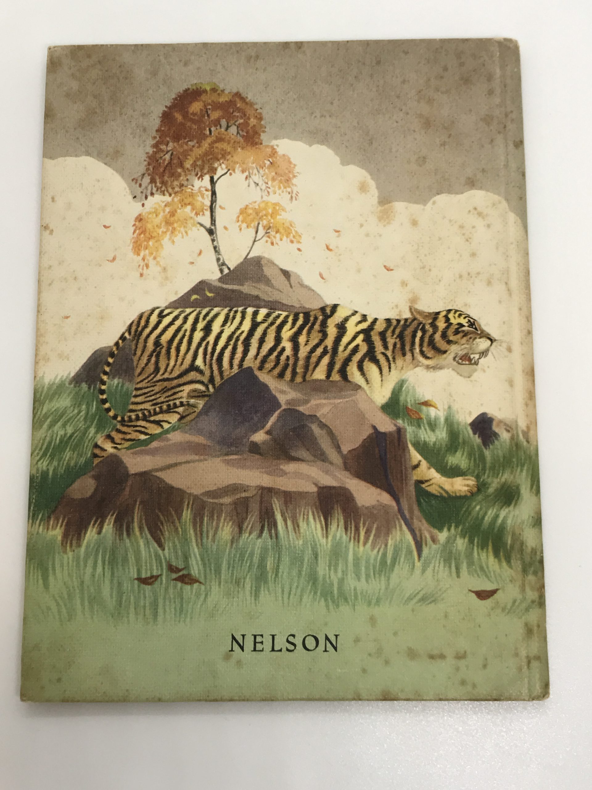 Sandy the Tiger Cat by Castley, Dora Hardcover 1960s - Vintage Keepsakes