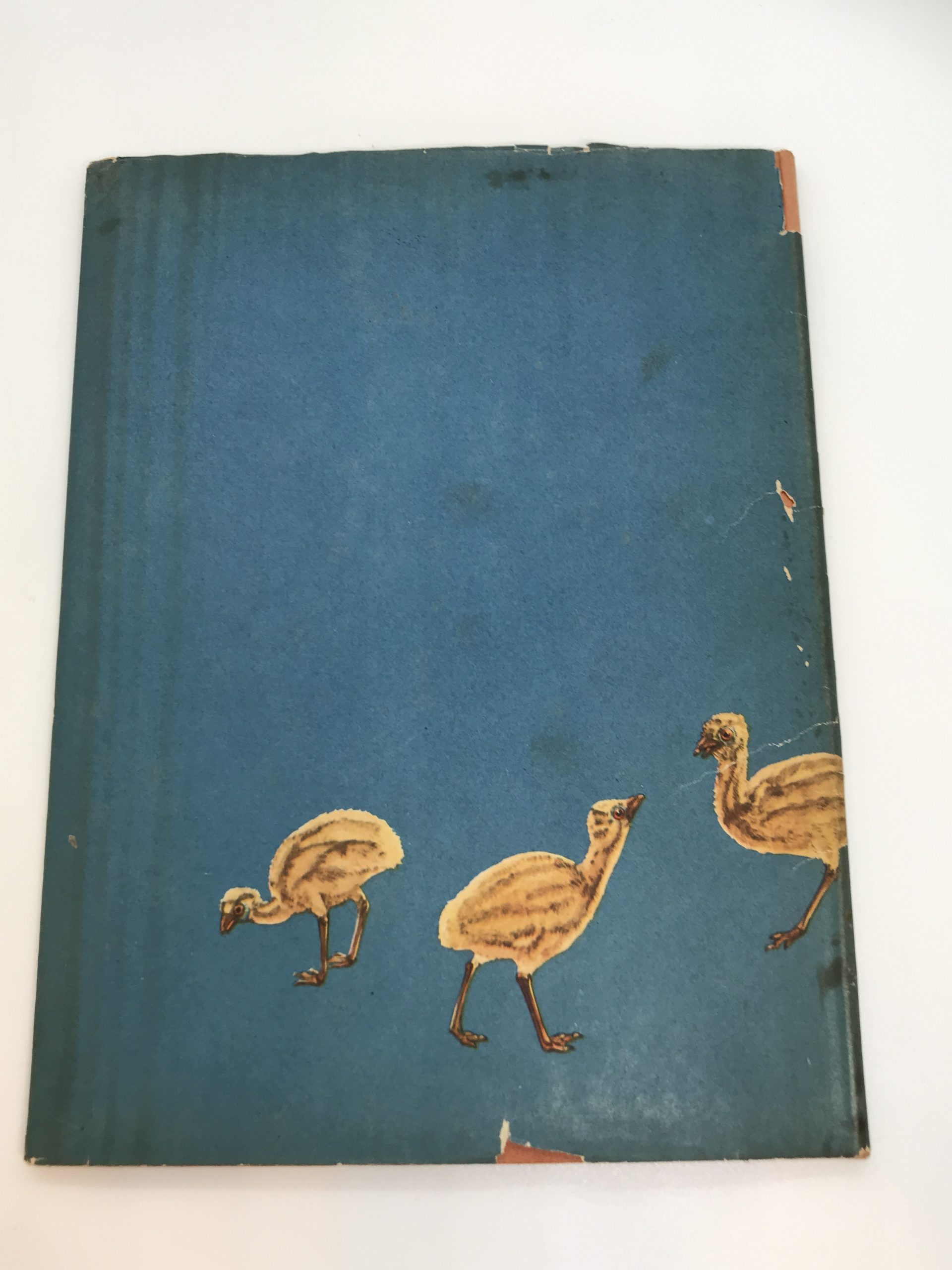 The Story of Karrawingi The Emu by Leslie Rees - Vintage Keepsakes