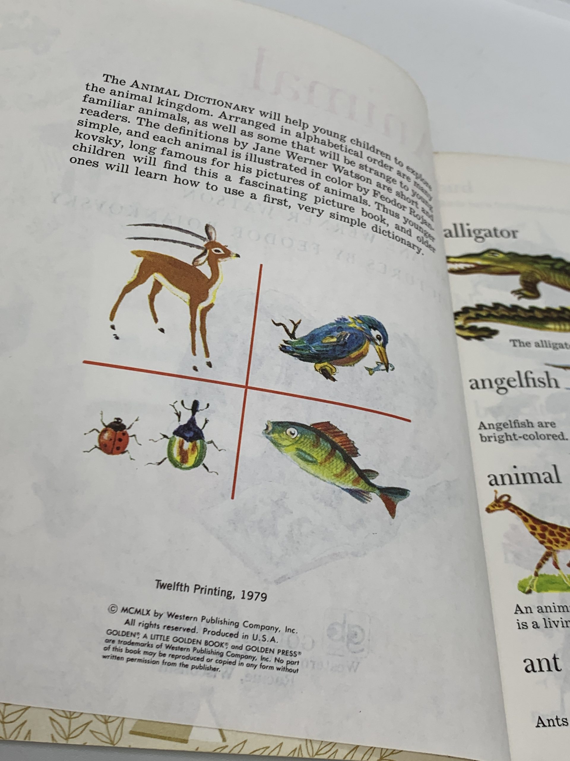 Animal Dictionary Golden Book - Westen Publishing 1979 - Vintage Keepsakes