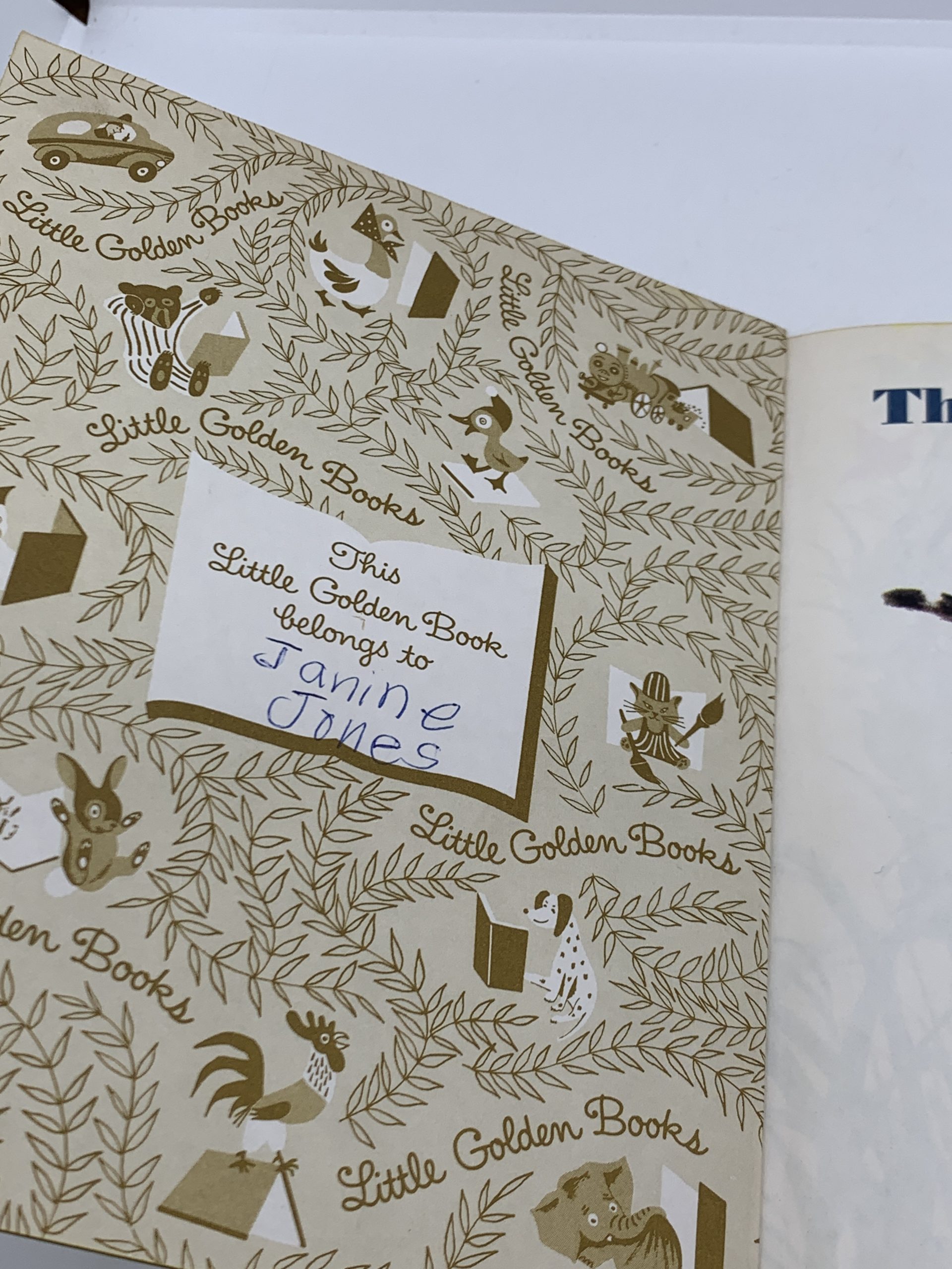 The Pussycat Tiger Golden Book - Western Publishing 1975 - Vintage ...