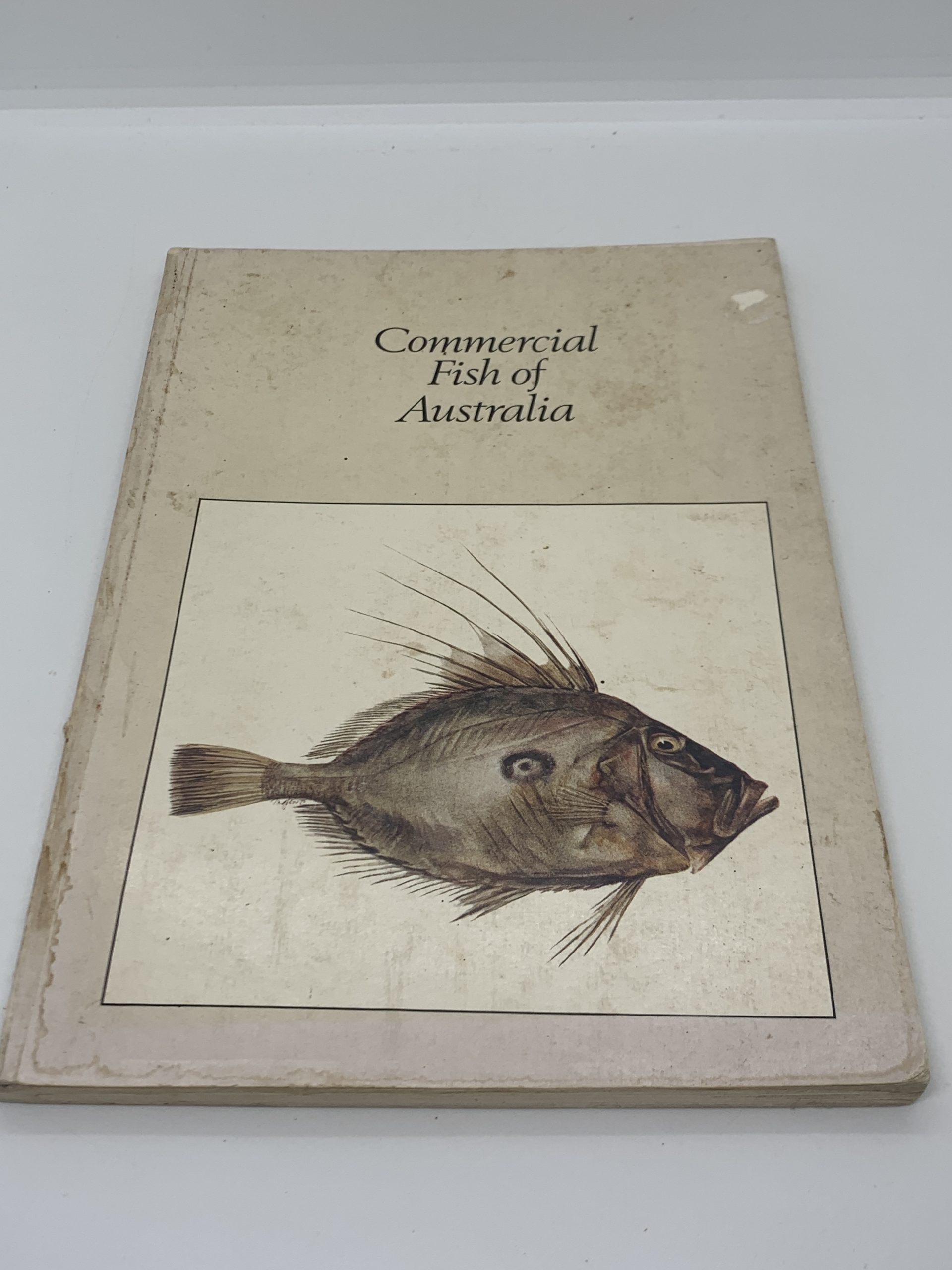 Commercial Fish of Australia - Commonwealth of Australia 1977 - Vintage ...