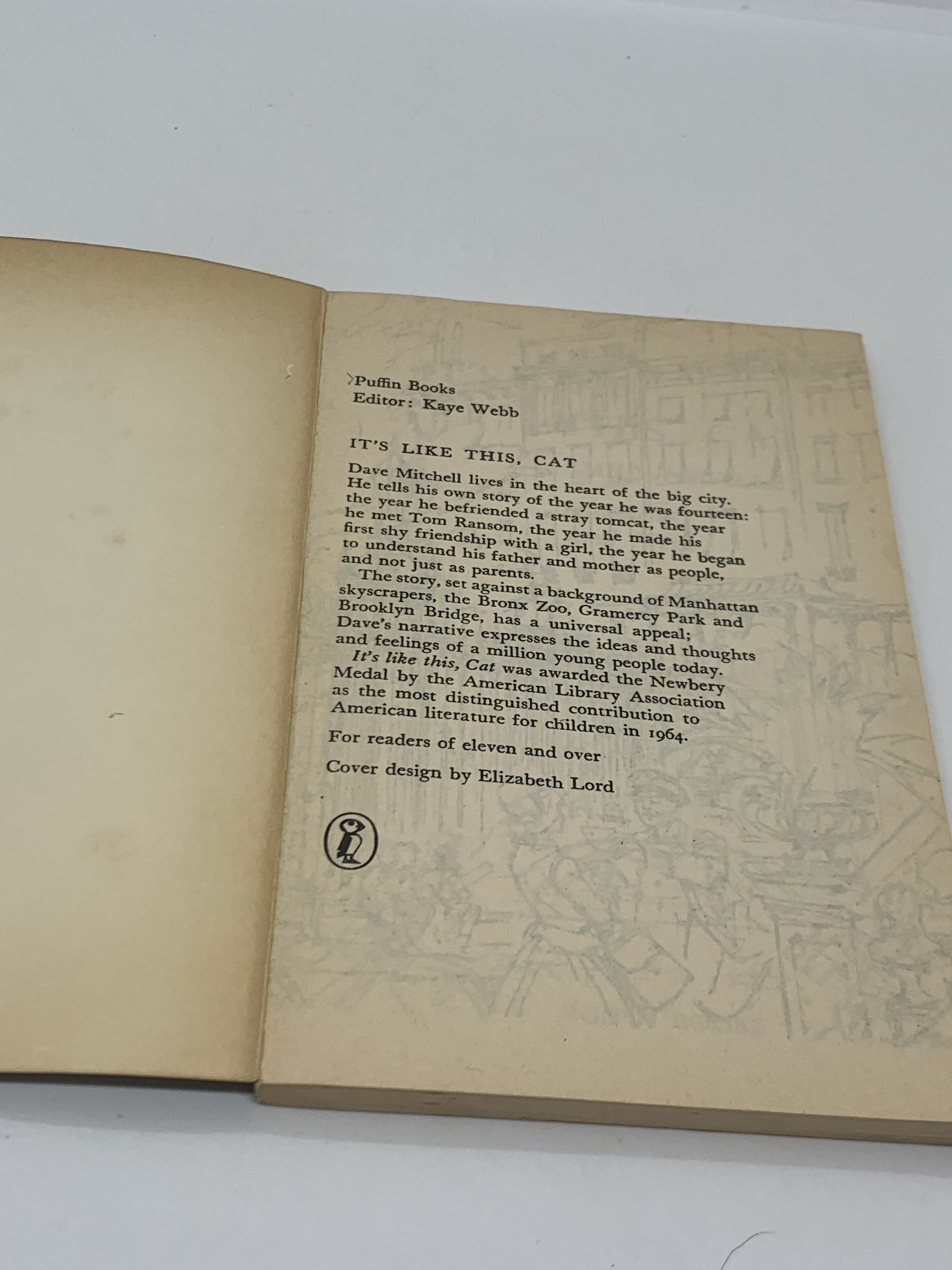 Its like this cat - Emily Neville - Puffin Book 1976 - Vintage Keepsakes