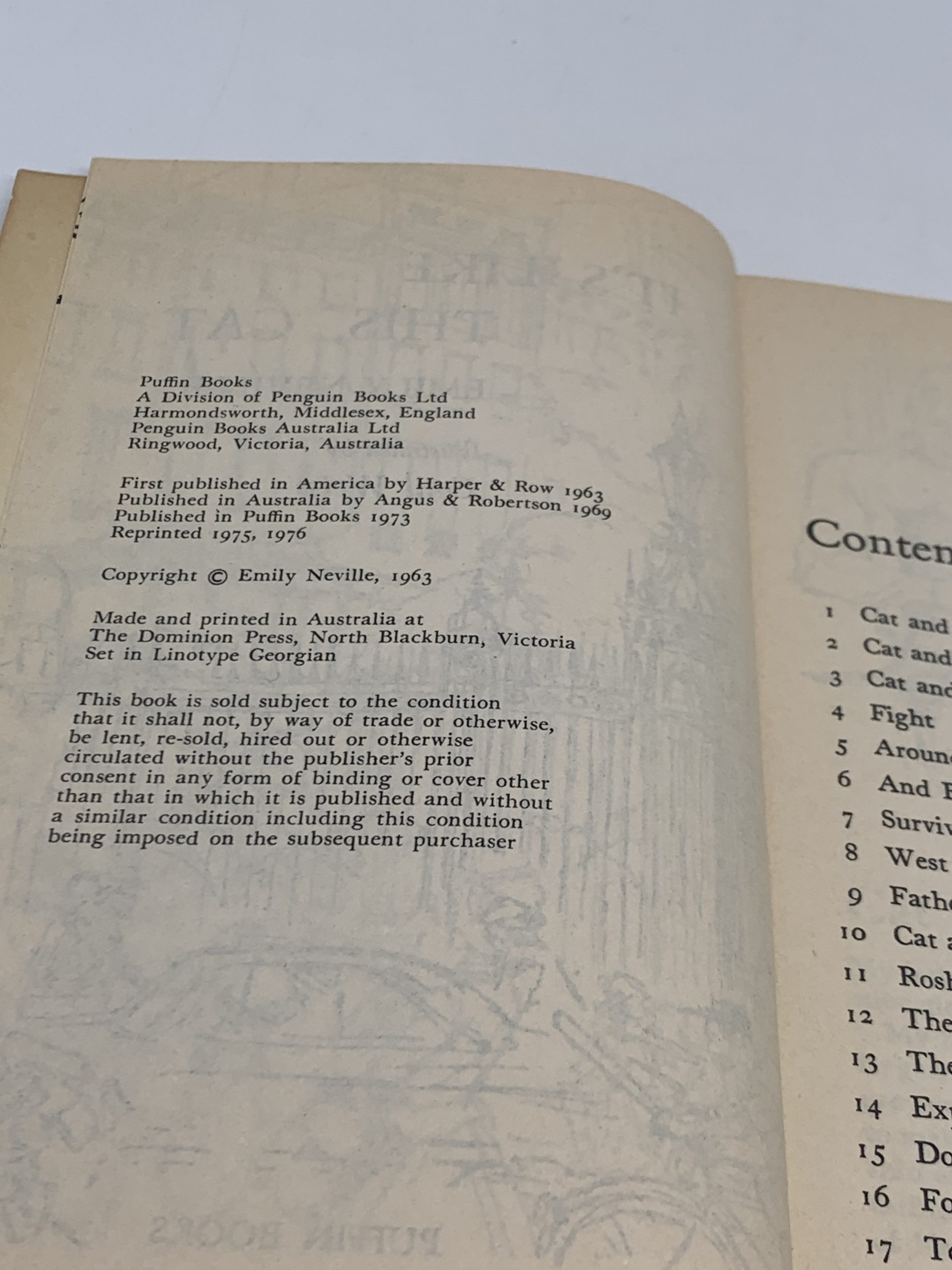 Its like this cat - Emily Neville - Puffin Book 1976 - Vintage Keepsakes