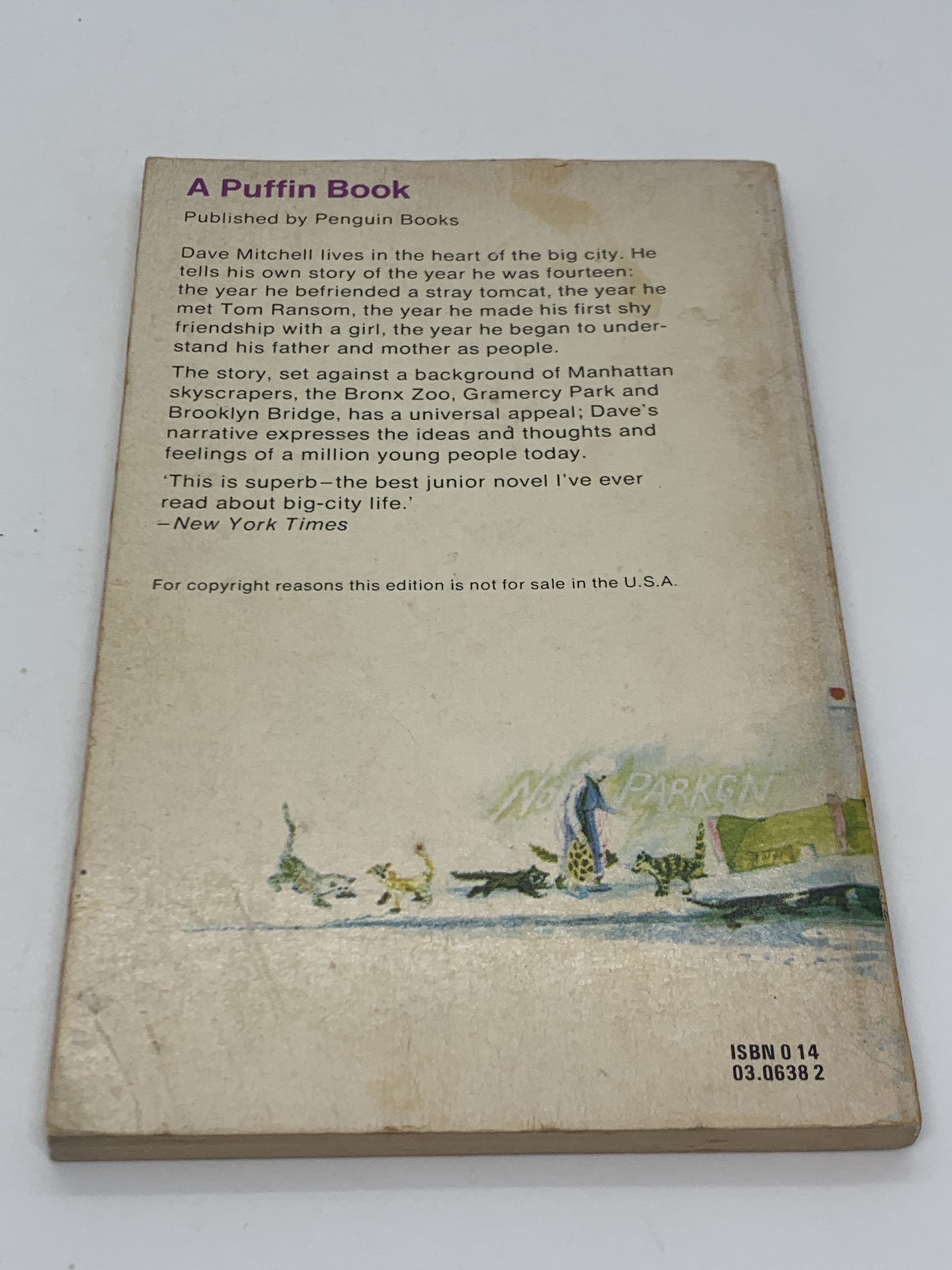 Its like this cat - Emily Neville - Puffin Book 1976 - Vintage Keepsakes