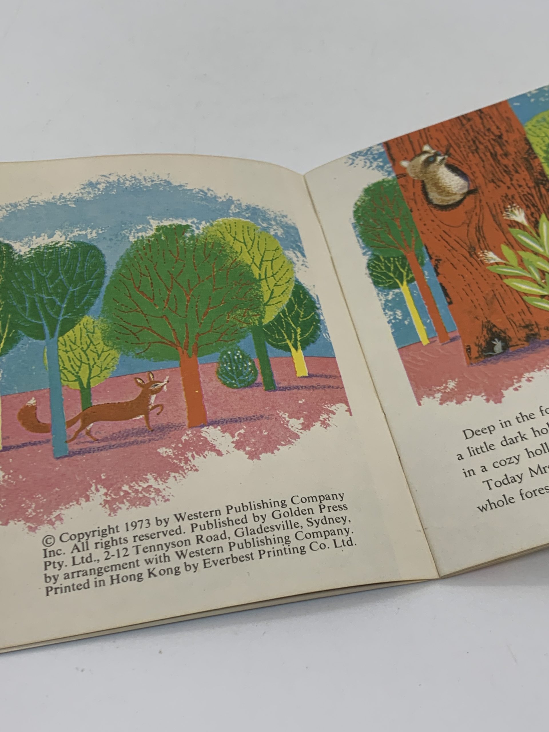 Littlest Raccoon Mini Golden Book - Western Publishing 1973 - Vintage ...