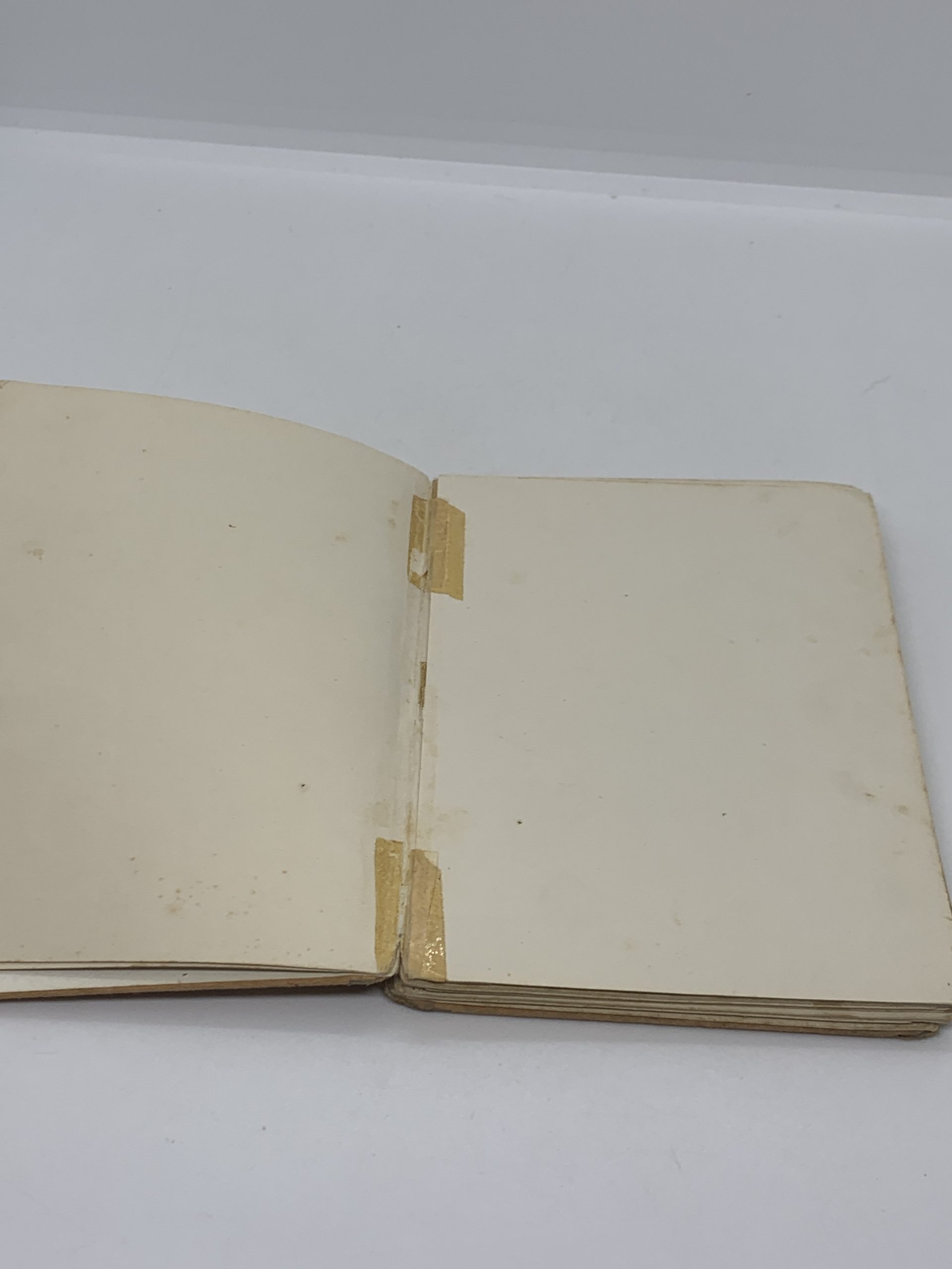The Story of A Fierce Bad Rabbit - Beatrix Potter - Frederick Warne ...