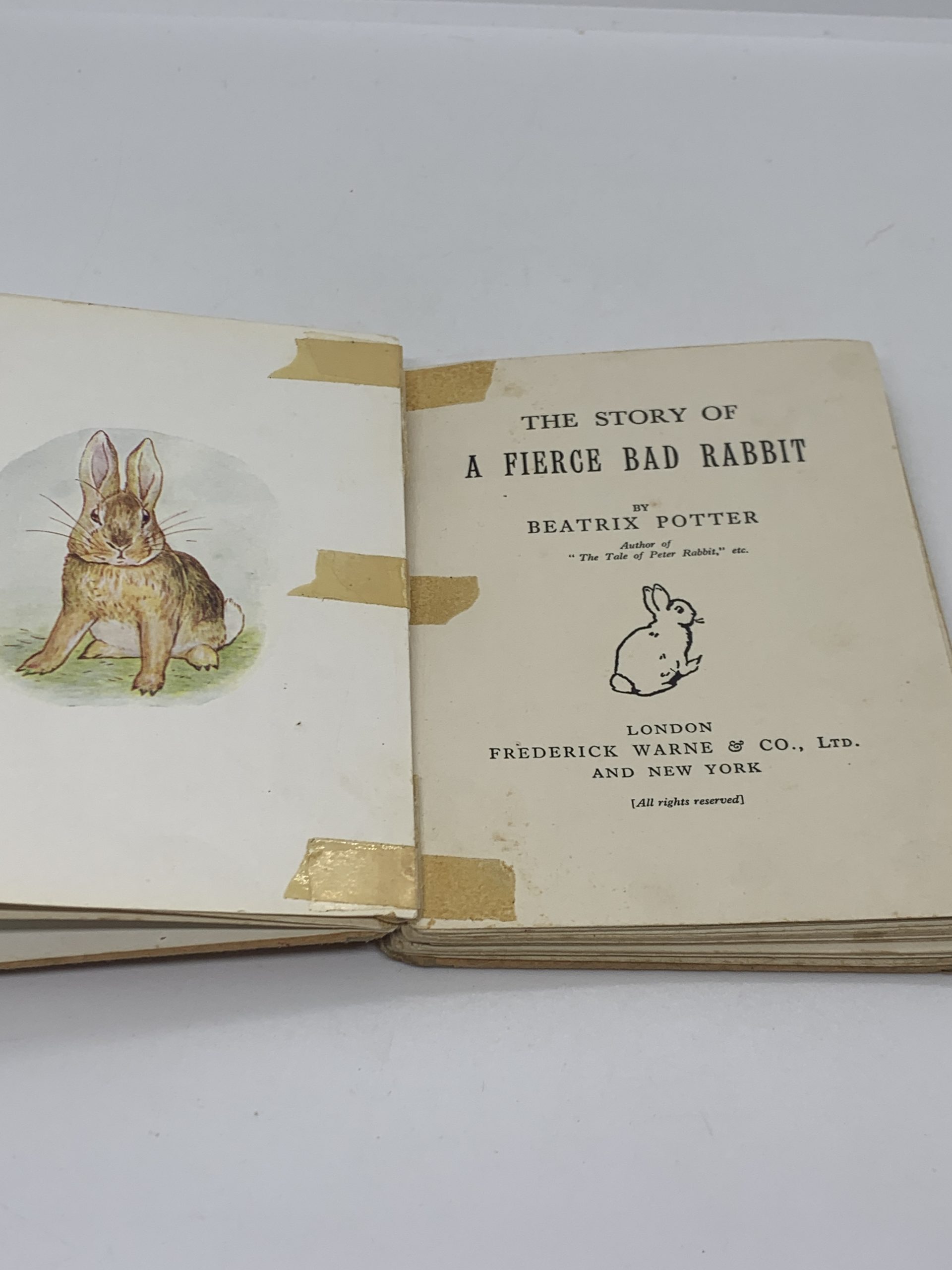 The Story of A Fierce Bad Rabbit - Beatrix Potter - Frederick Warne ...