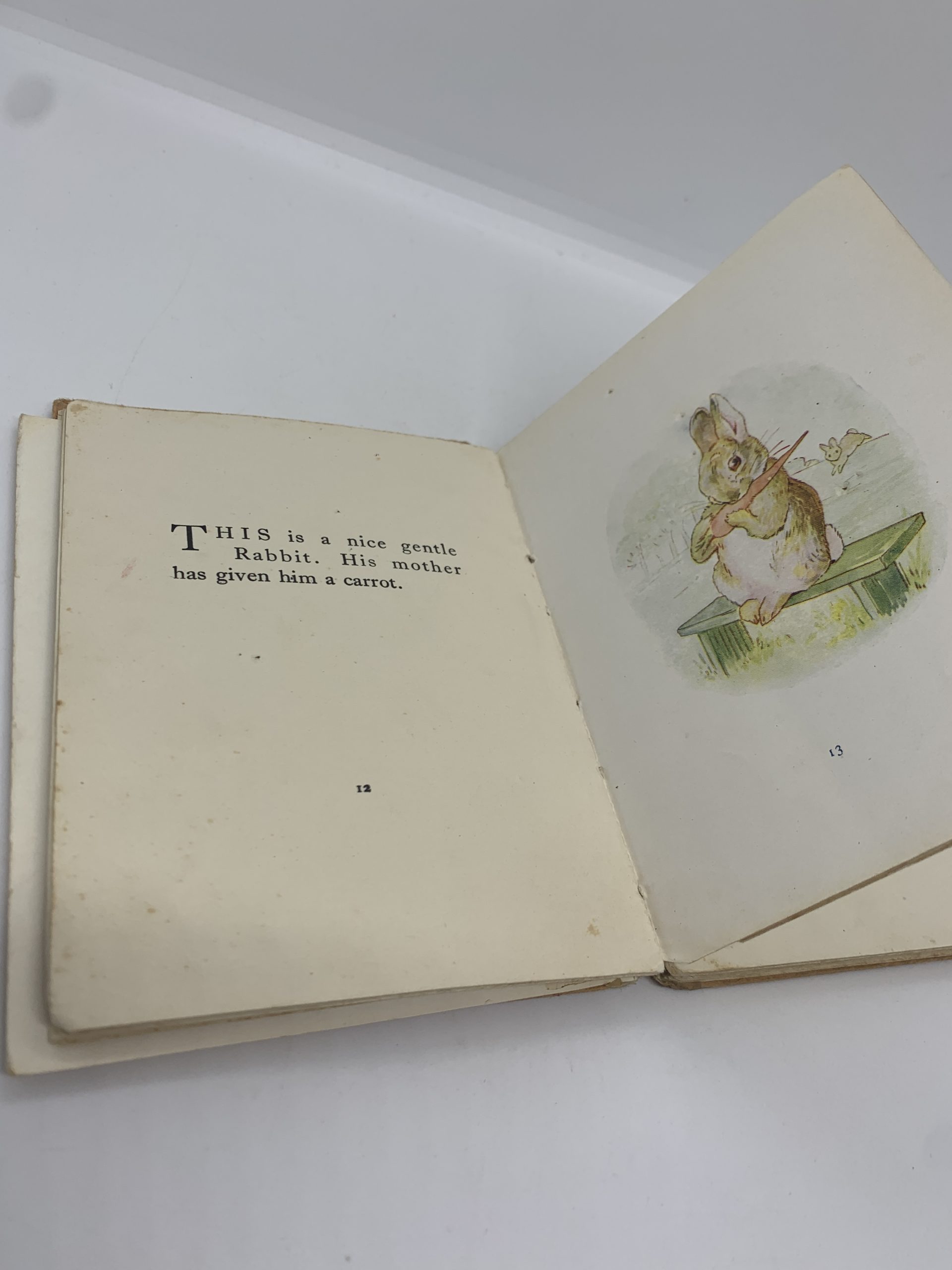 The Story of A Fierce Bad Rabbit - Beatrix Potter - Frederick Warne ...