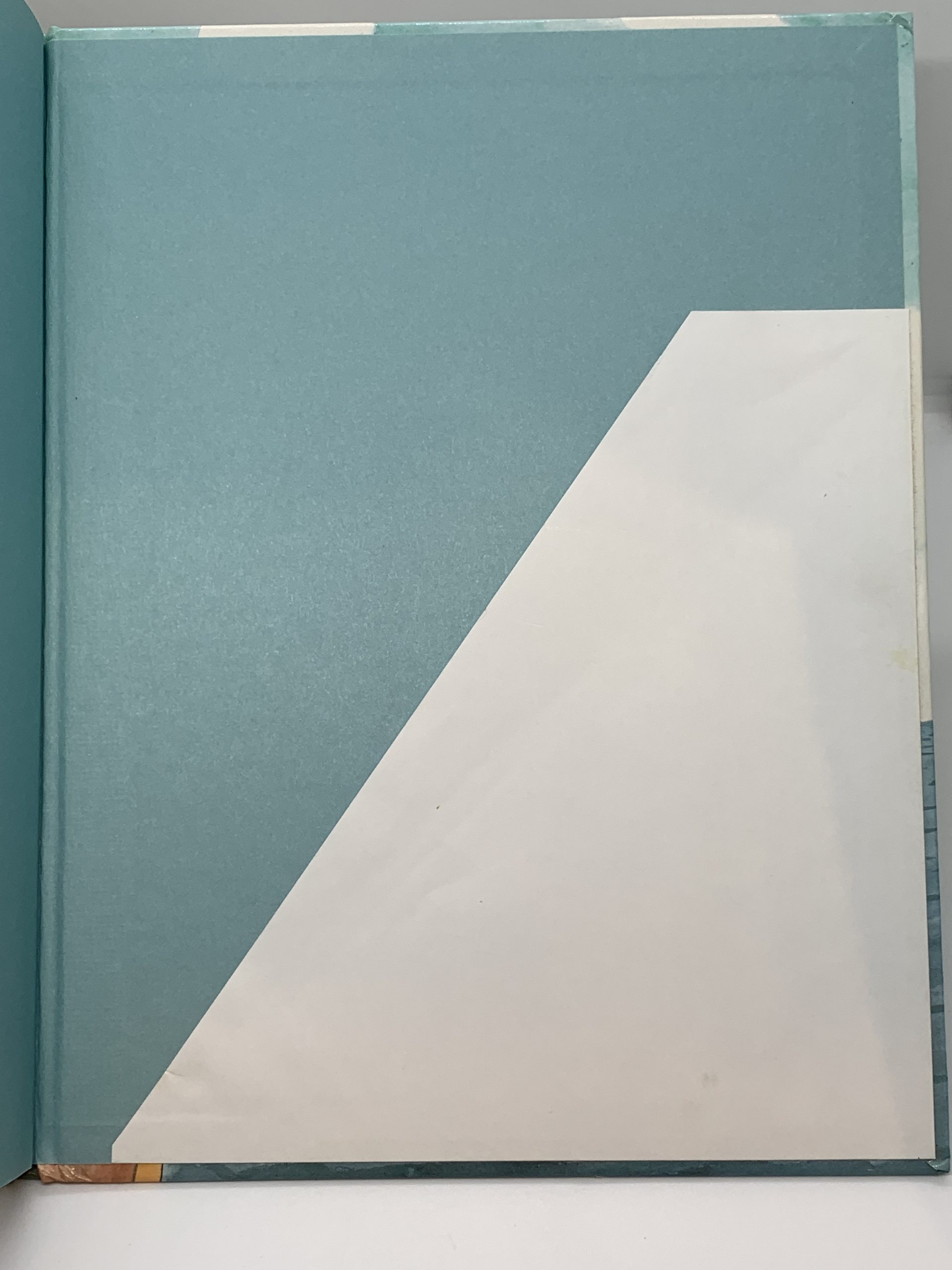 I Wish Id Flown the Atlantic with Amelia Earhart by Leonie Young and ...