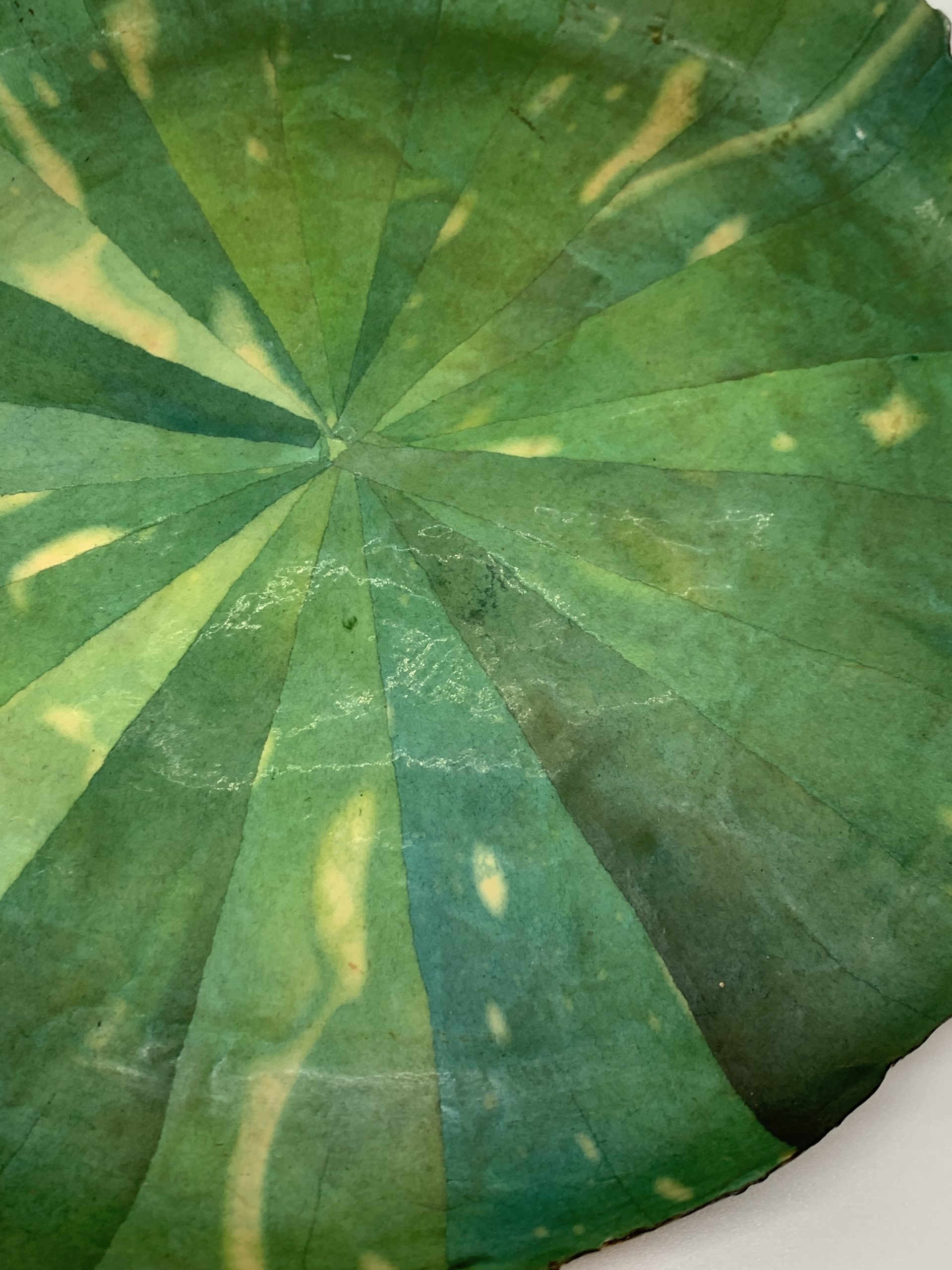 Paper Machete Serving Plate - stamped Made in Thailand 36cm - Vintage ...