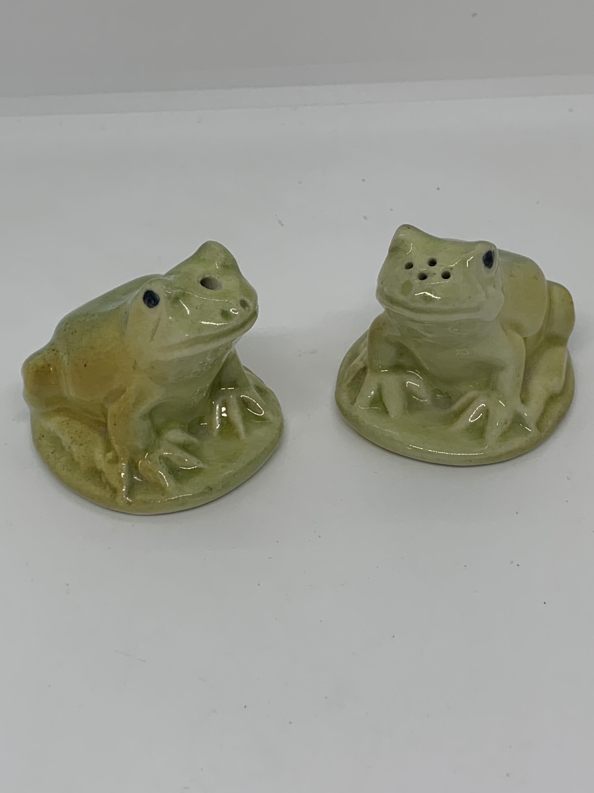 Derbyshire Ware Frog Salt and Pepper - Vintage Keepsakes
