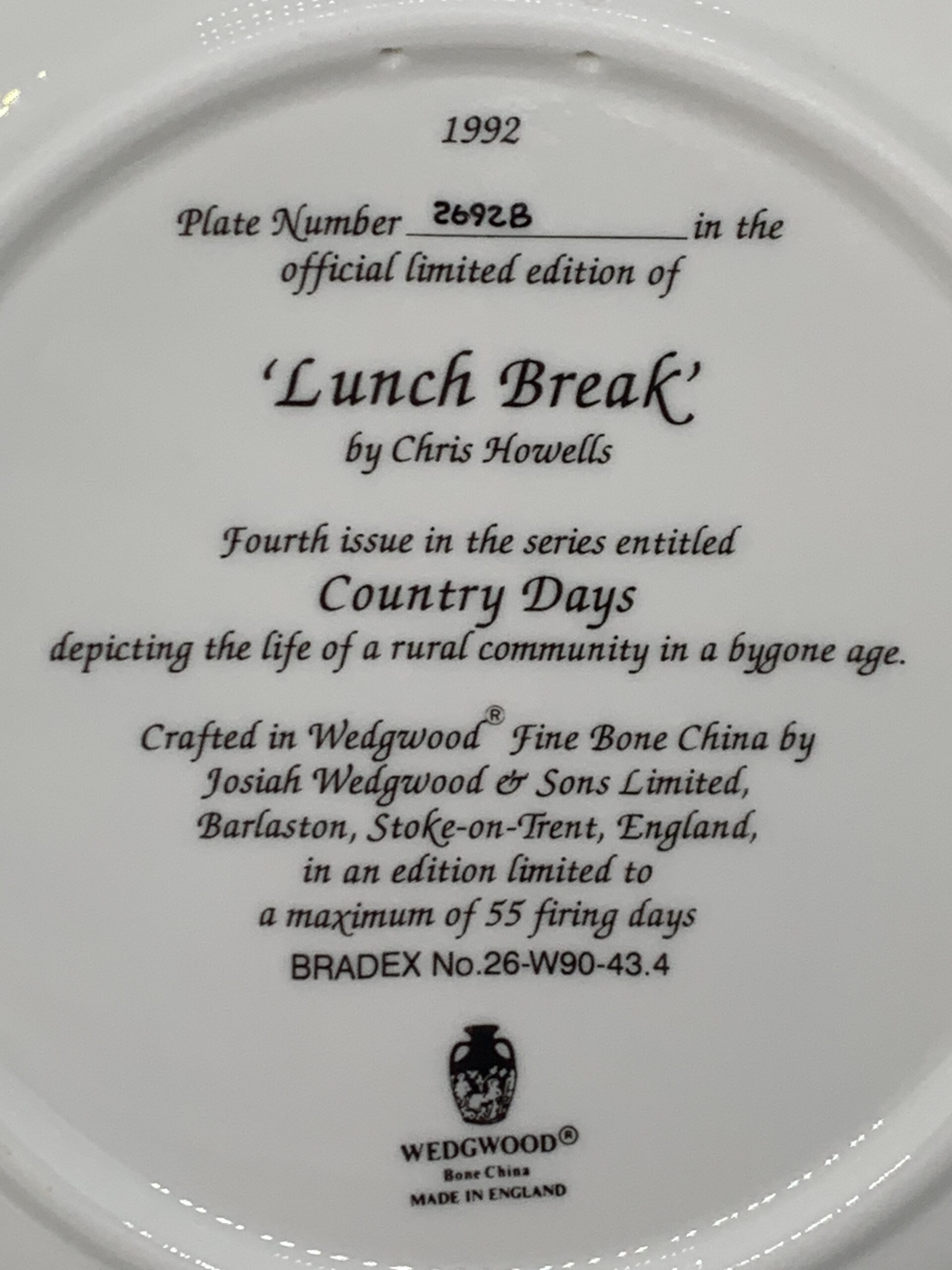 Wedgwood Lunch Break - Country Days Series 1992 20cm Plate - Vintage ...