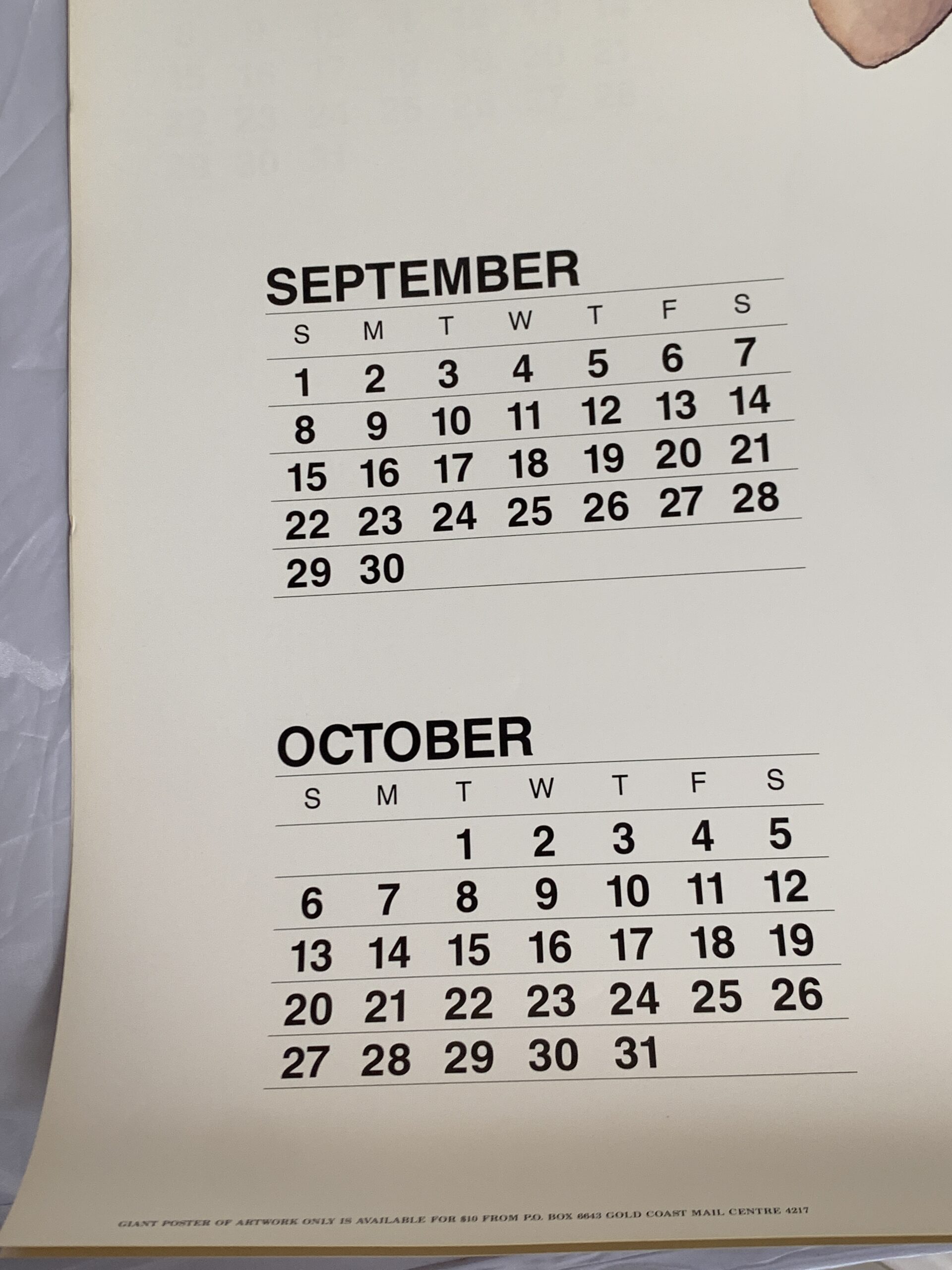 Pickerings Playmates of 91 Calender - Vintage Keepsakes