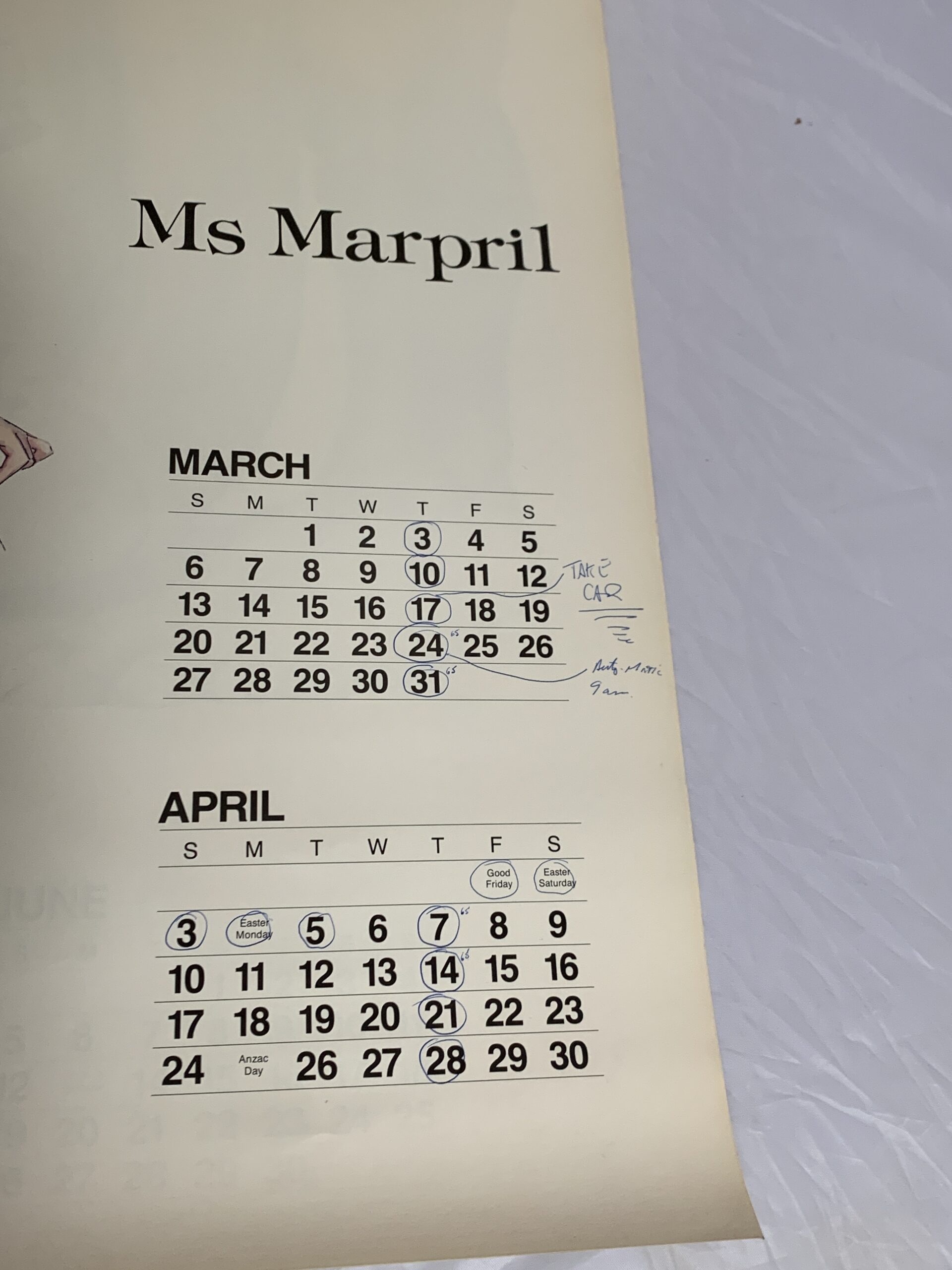 Pickerings Playmates of 88 Calender - Vintage Keepsakes