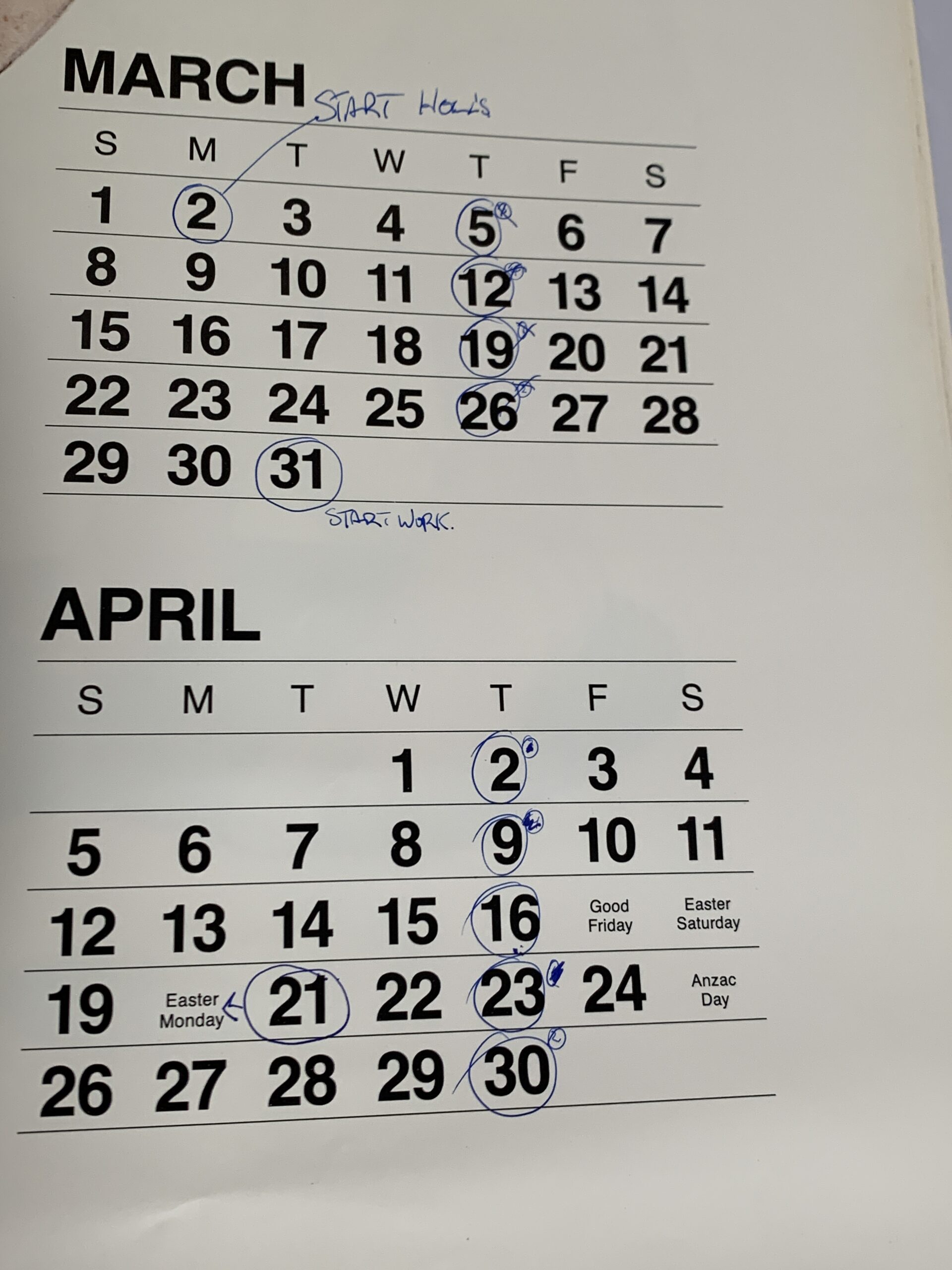 Pickerings Playmates of 87 Calender - Vintage Keepsakes