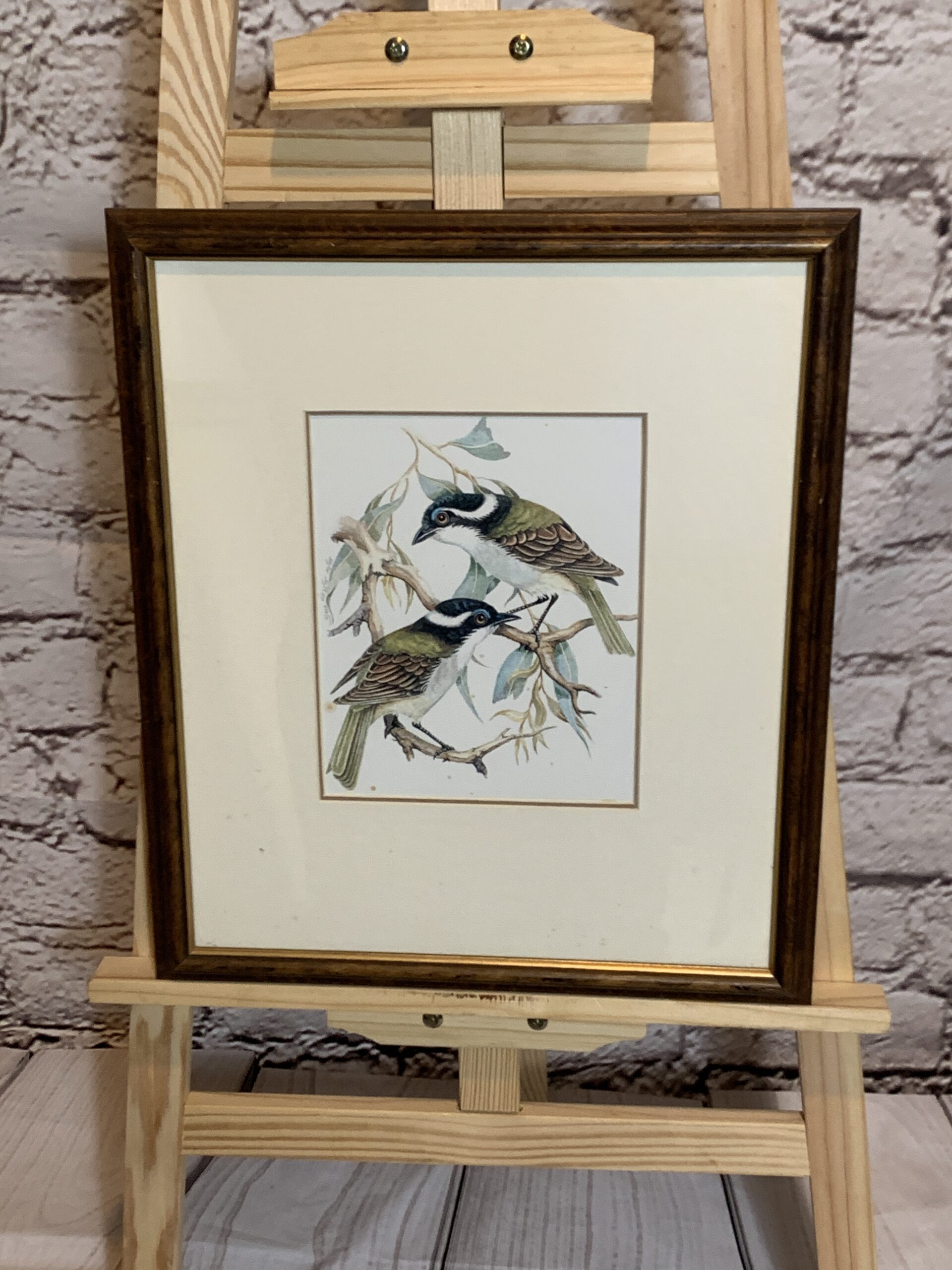 Framed Print Sue Lester - Strong-billed honeyeater - 1985 - Tasmanian ...