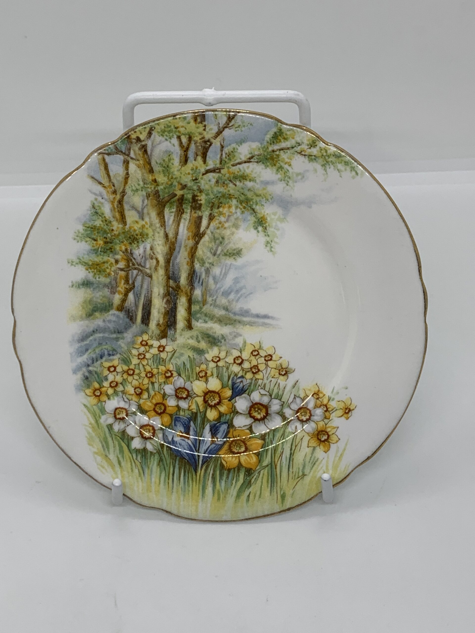 Shelley Daffodil Time Plate 15cm - Vintage Keepsakes