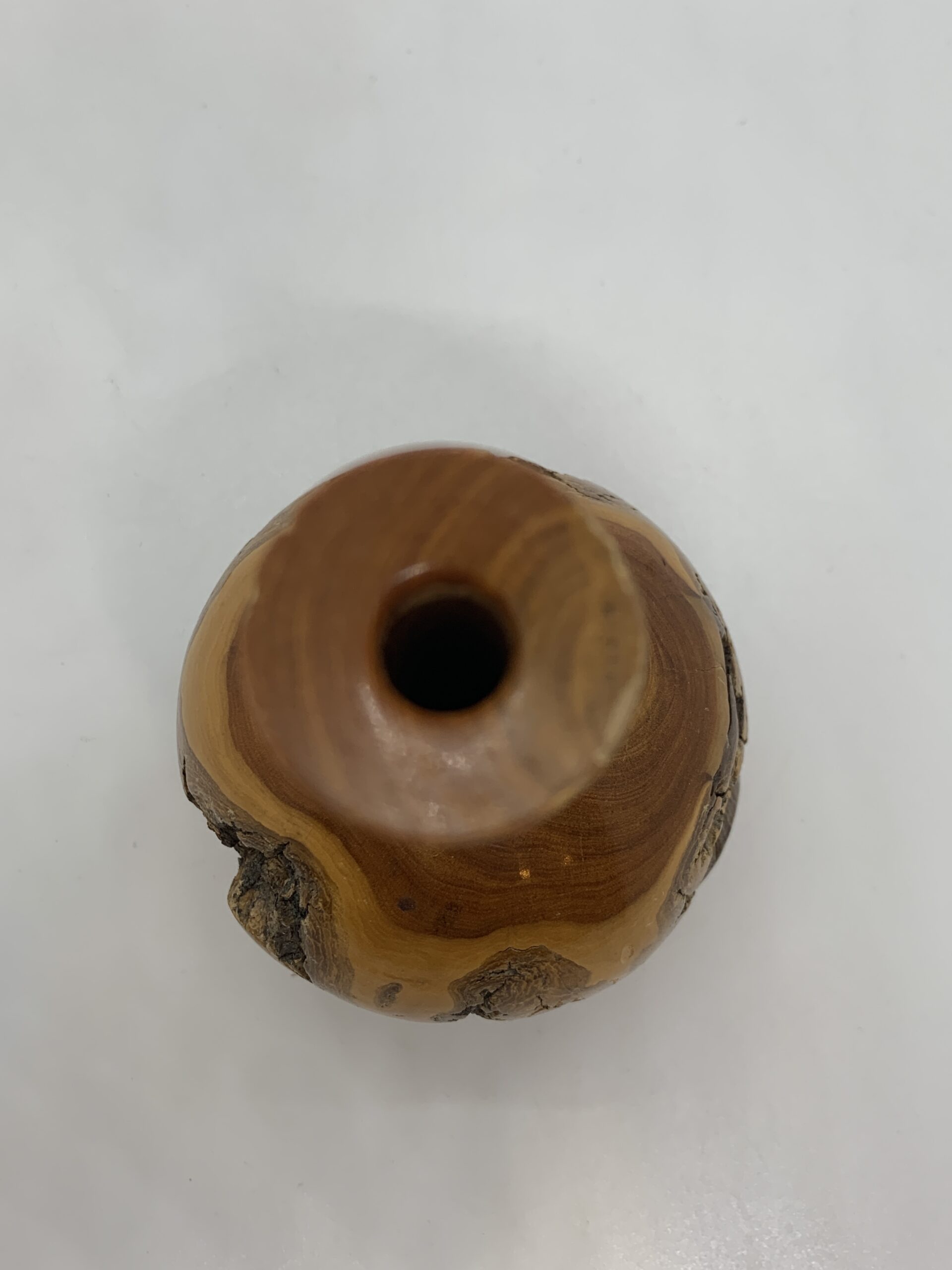 Timber Museum and Gallery Daintree Wooden Handcrafted Bud Vase 15cm ...