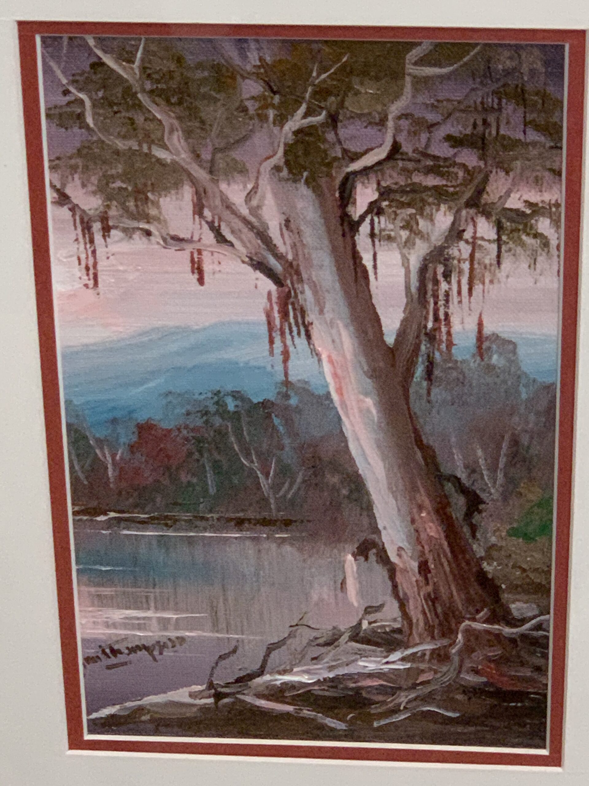Patricia Ann Thompson Oil Painting Single Gum Tree 44x34cm - Vintage ...