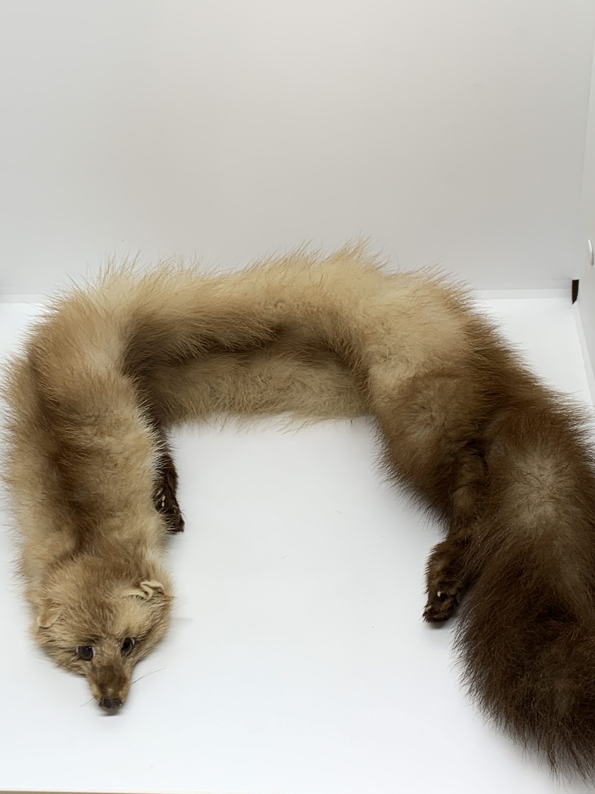 Vintage Mink Stole 66cm long - Vintage Keepsakes