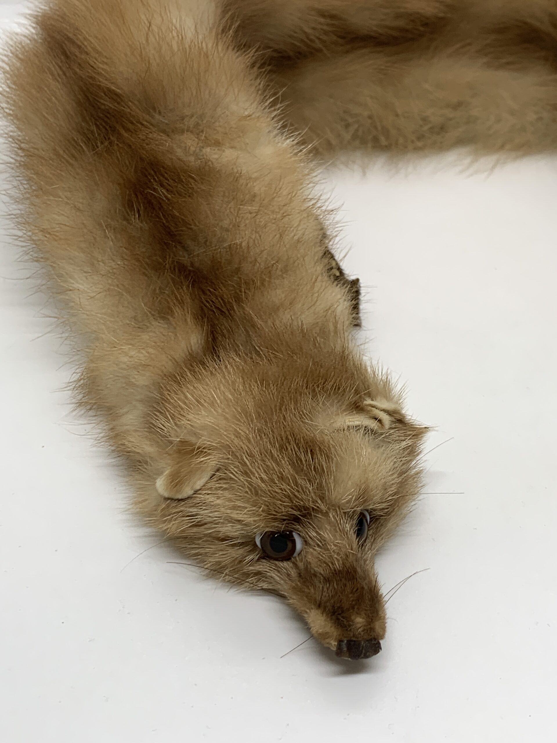 Vintage Mink Stole 66cm long - Vintage Keepsakes