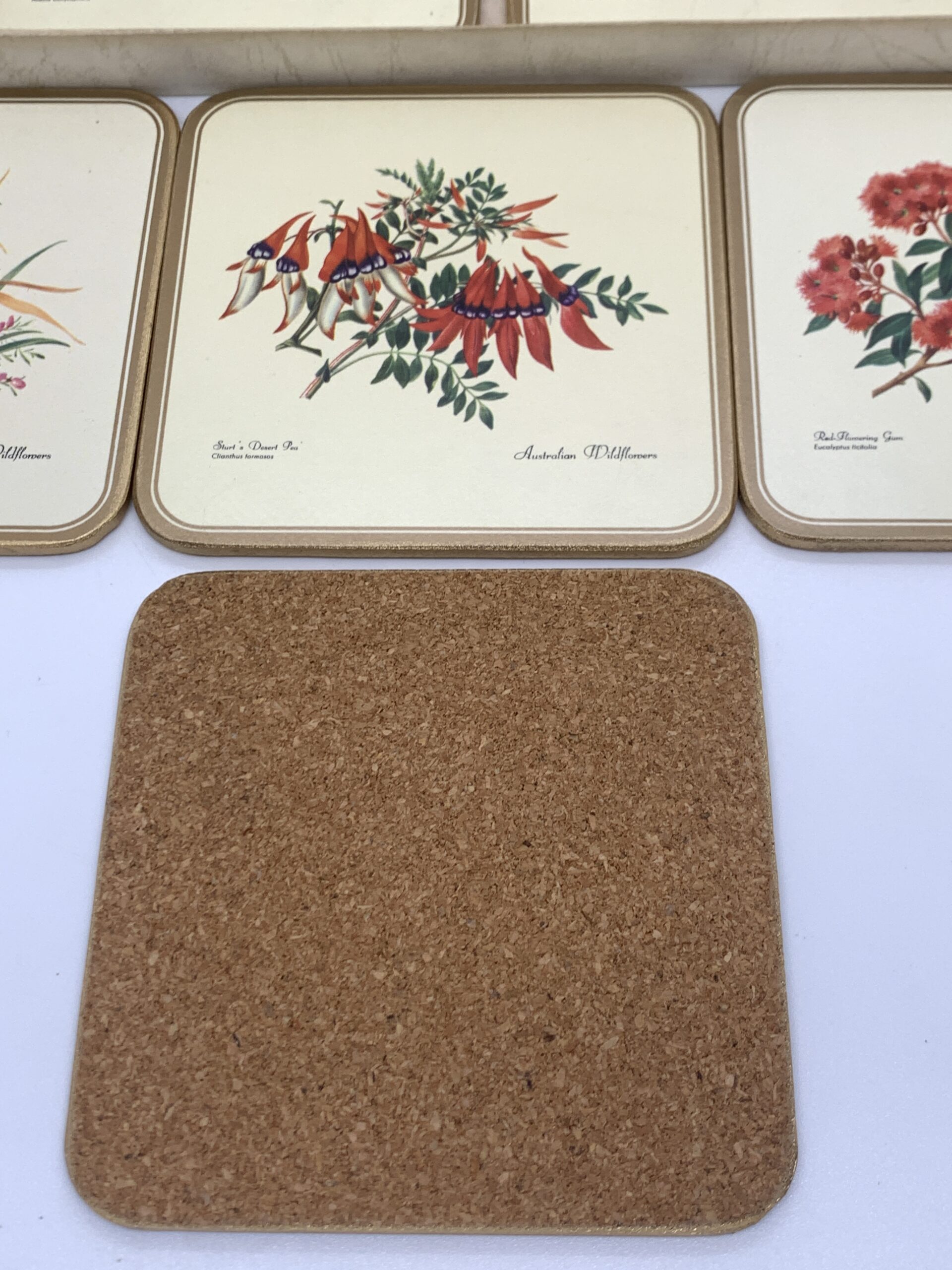 Pimpernell Princess Australian Wildflower Coasters Boxed - Vintage ...
