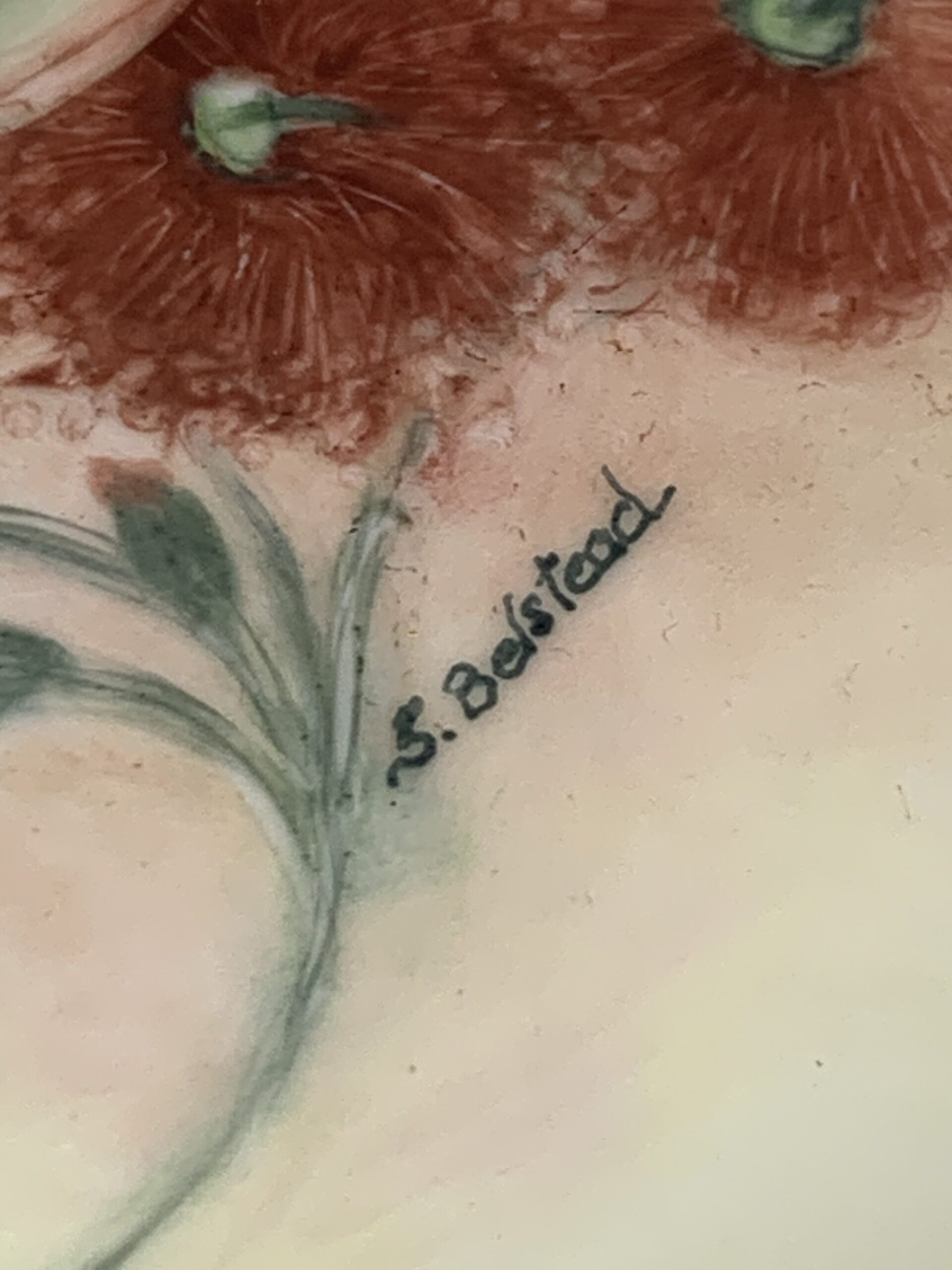 Vintage Handpainted by S Belstead Flowering Gum Plate 18cm - Vintage ...