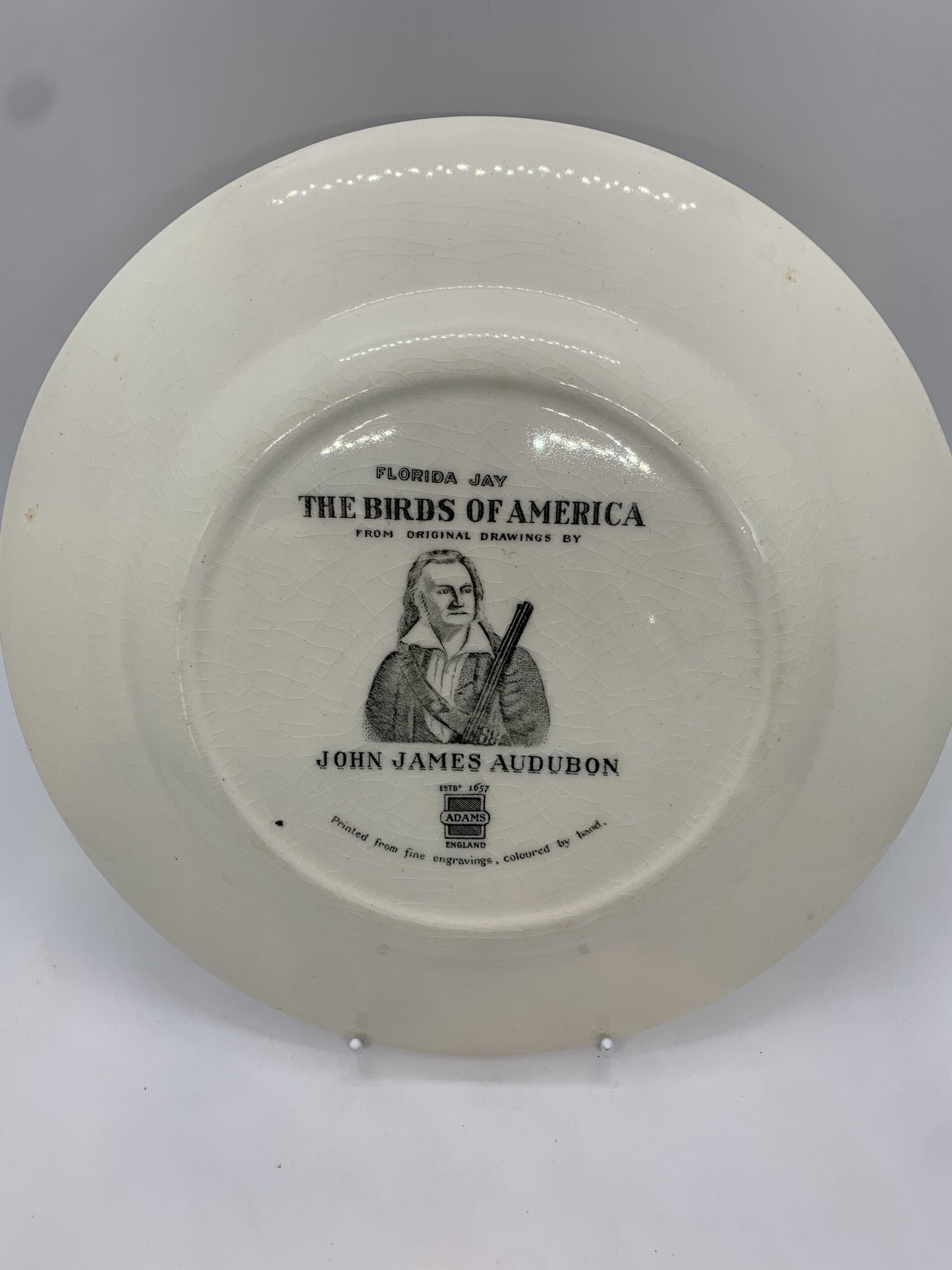 Adams Birds of Ameria Plate - Florida Jay 26cm - Vintage Keepsakes