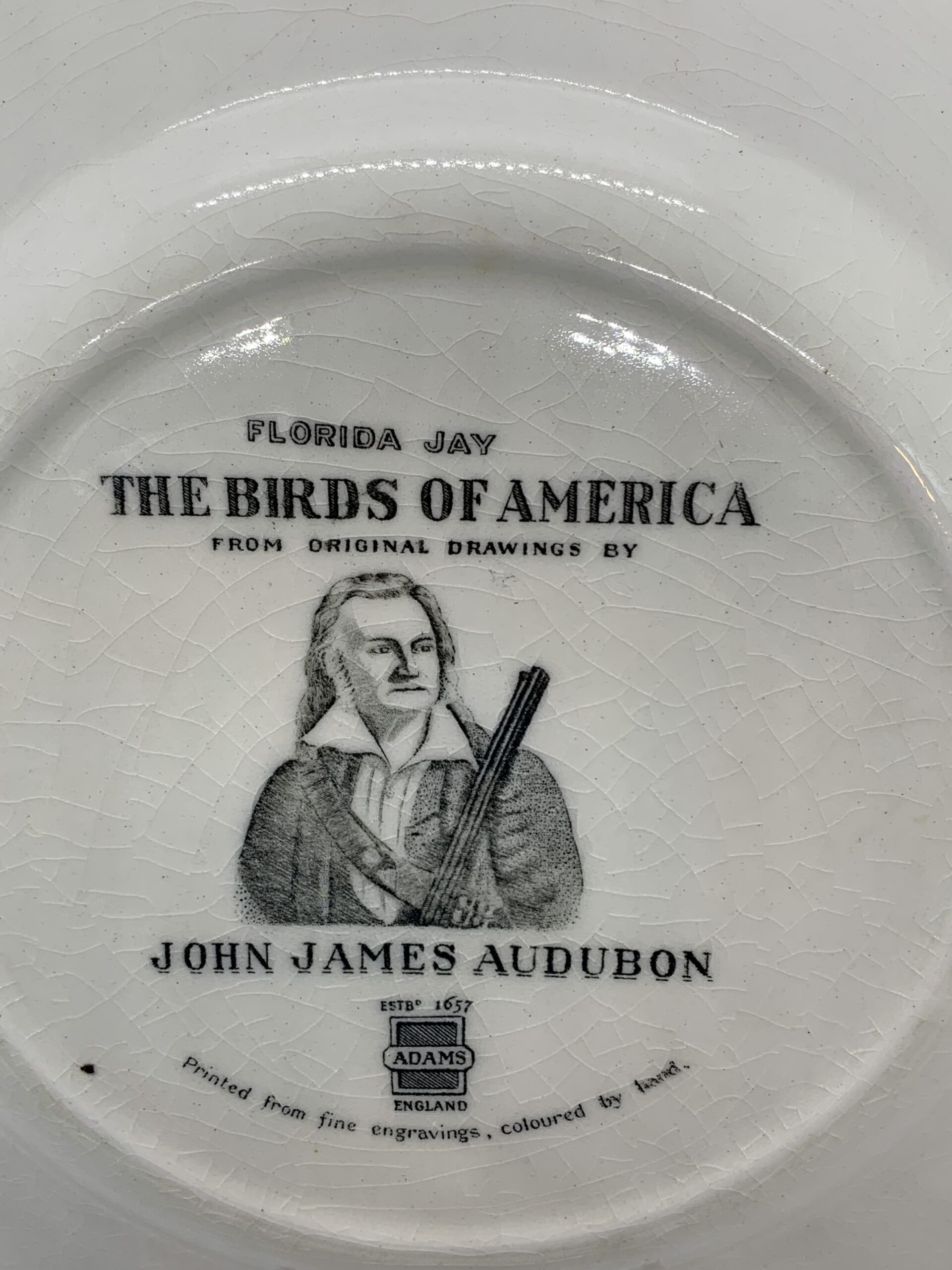 Adams Birds of Ameria Plate - Florida Jay 26cm - Vintage Keepsakes
