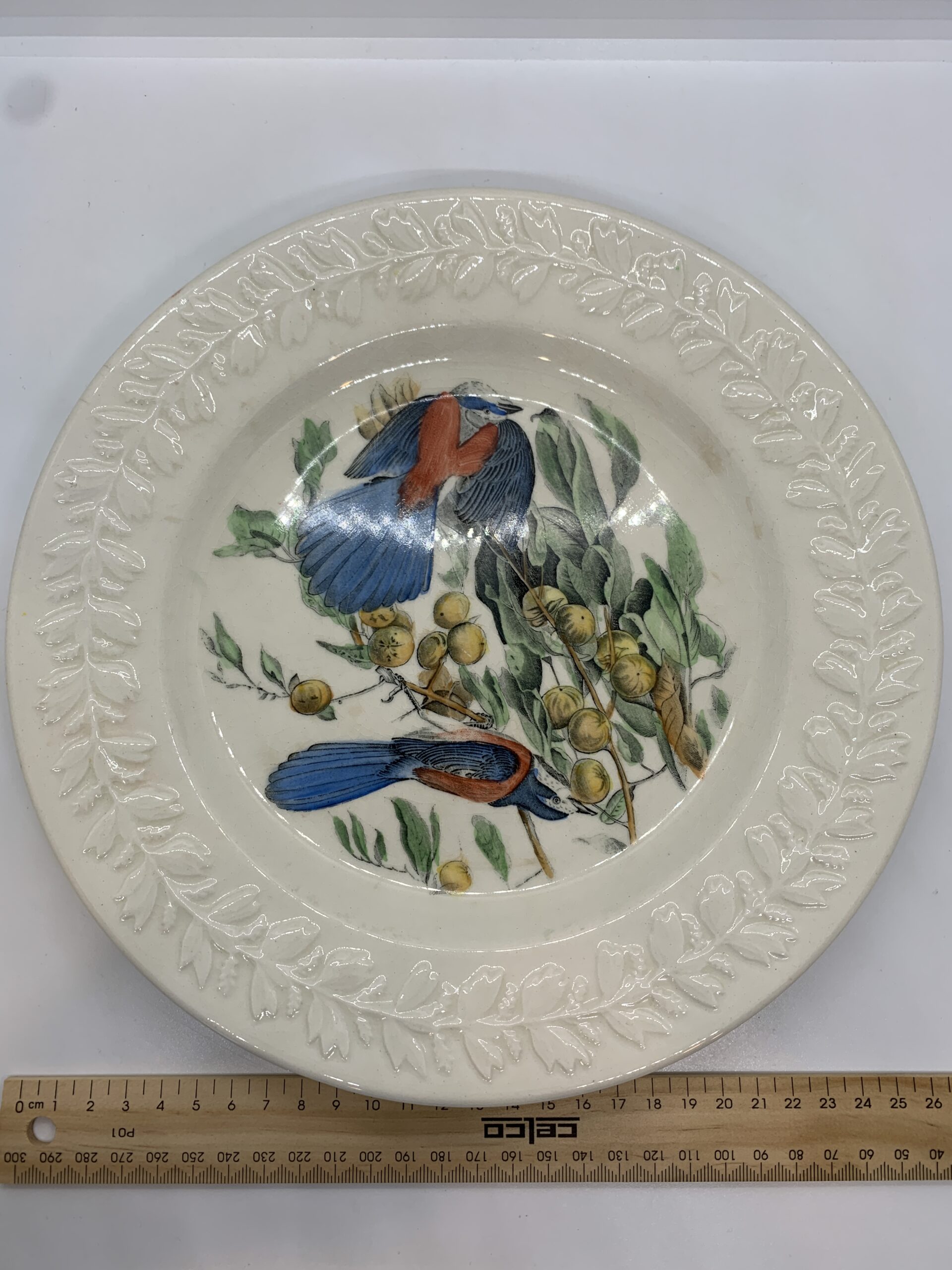 Adams Birds of Ameria Plate - Florida Jay 26cm - Vintage Keepsakes