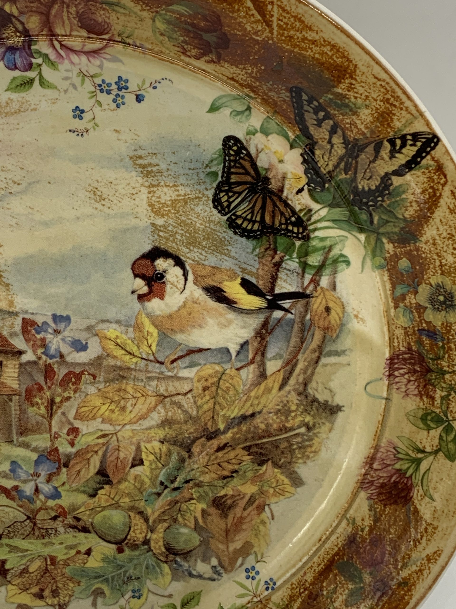 Robert Gordon Round Dinner Plate 28cm - Vintage Keepsakes