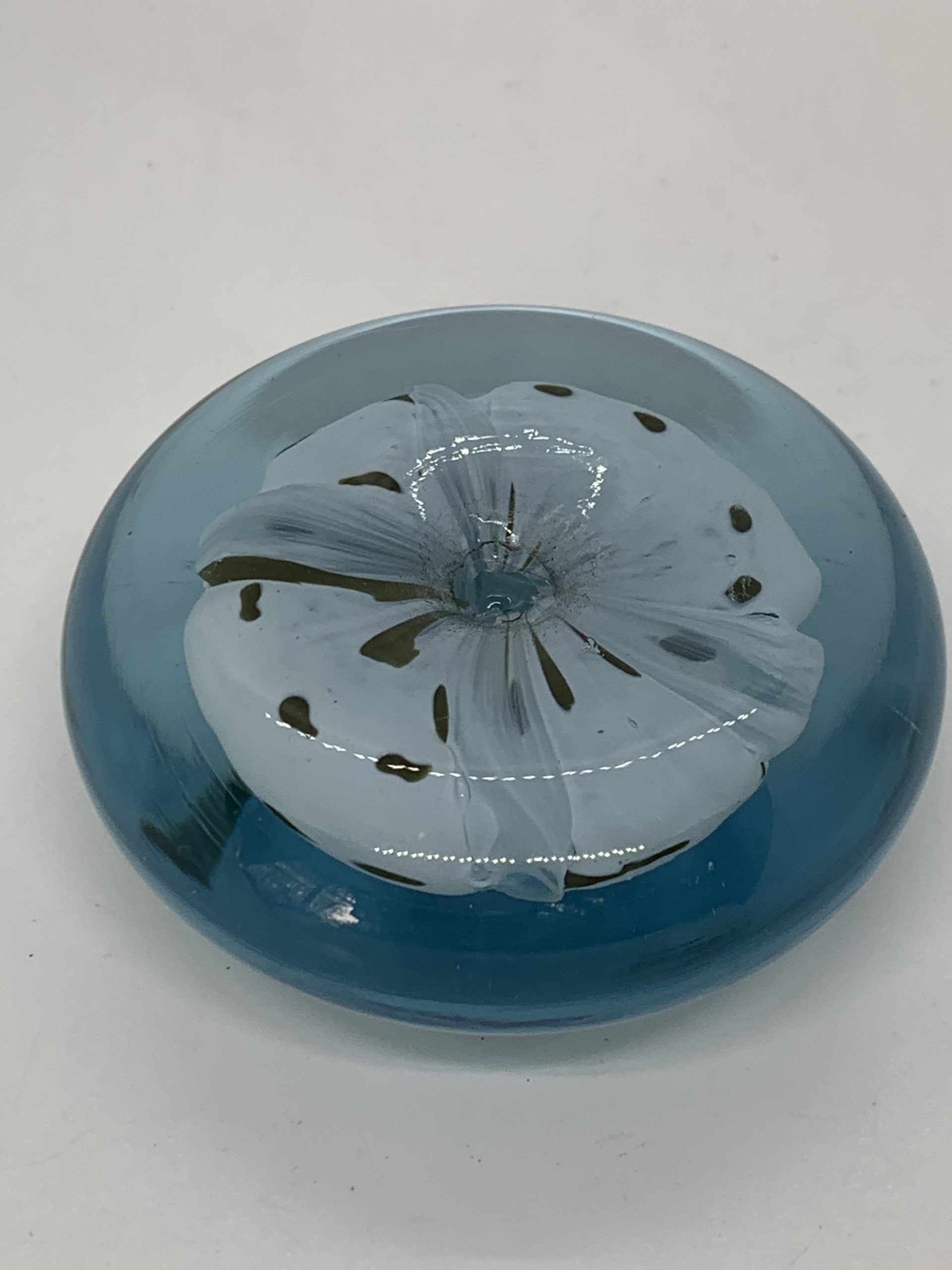 Ian Johnstone Flat Glass Round Paperweight 7cm wide - Vintage Keepsakes